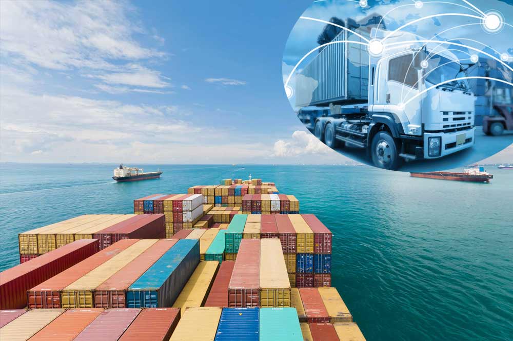 VIGU ∣ Vigu Trading Company Limited